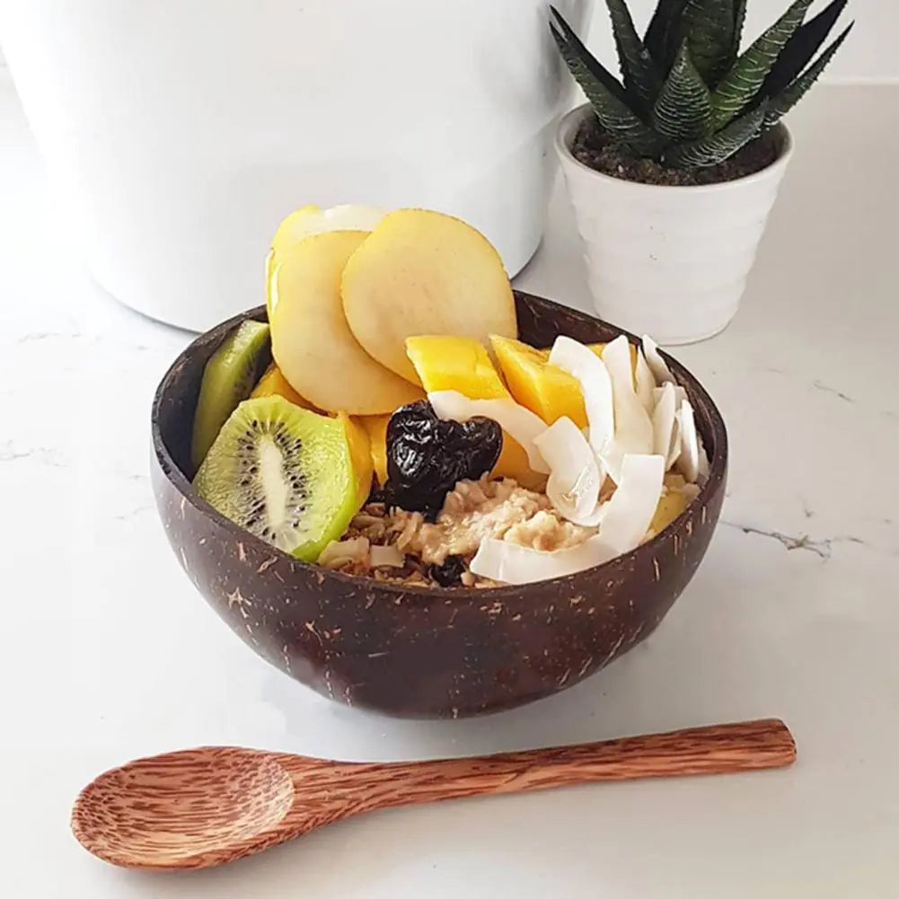 Eating bowl | Coconut shell set Durable Stylish Reusable Unique – Nora Luxe